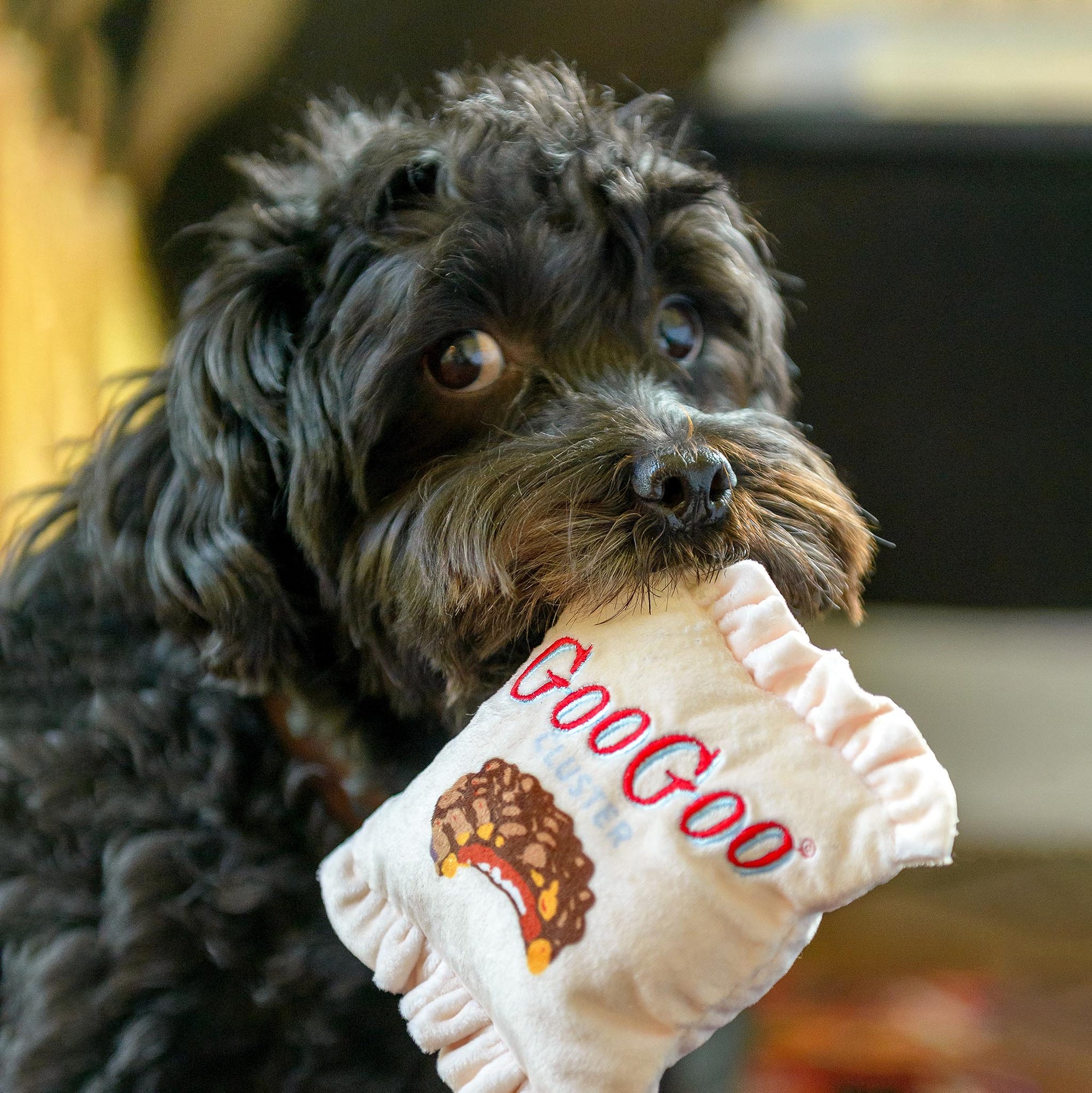 Wrapper Dog Toy Plush - Goo Goo Cluster